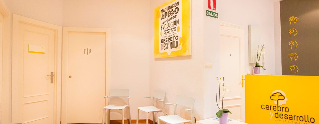 Recepcion. Calle Pasion 2. Cerebro y desarrollo | Logopedia, Psicología ...